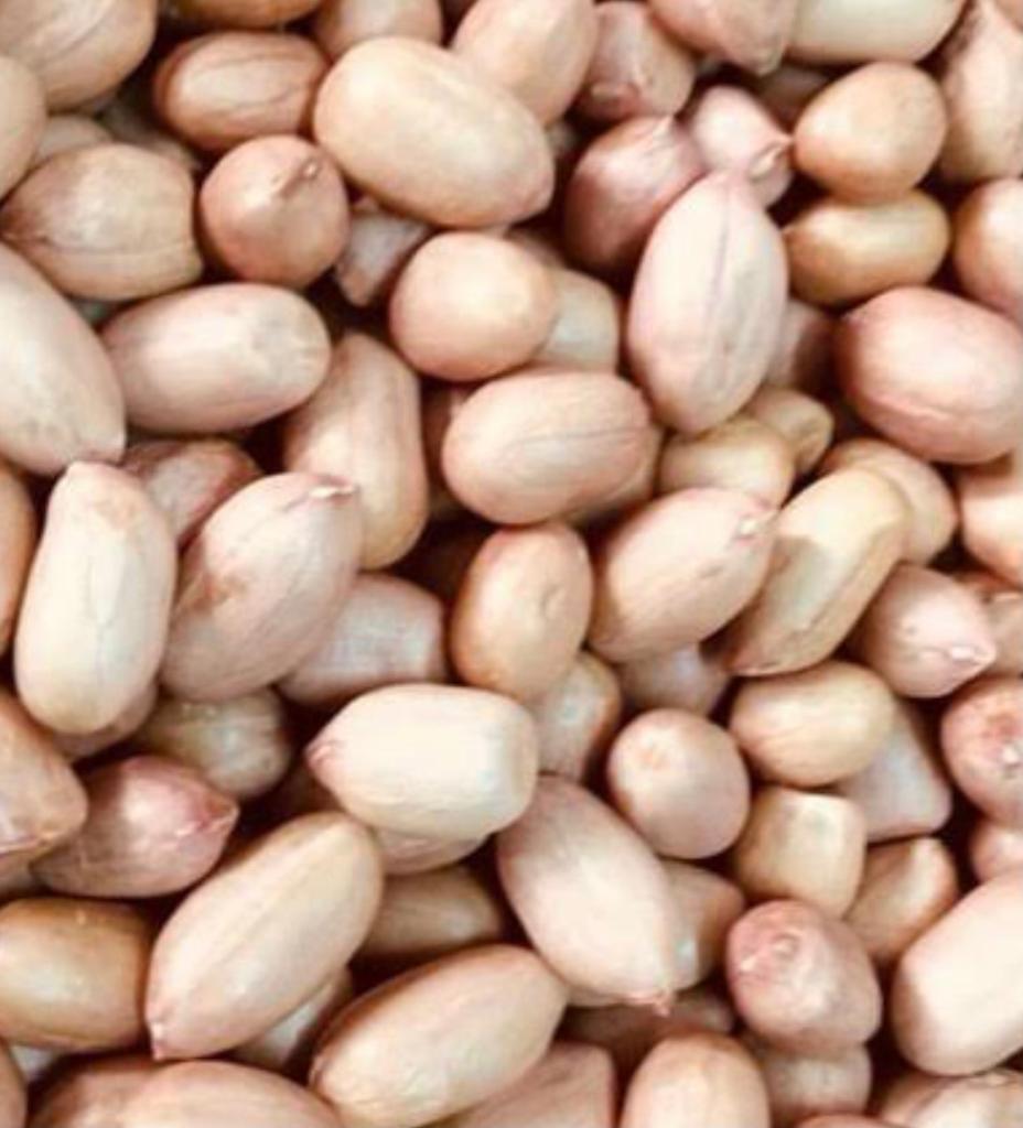 Home - Rich Harvest Ltd